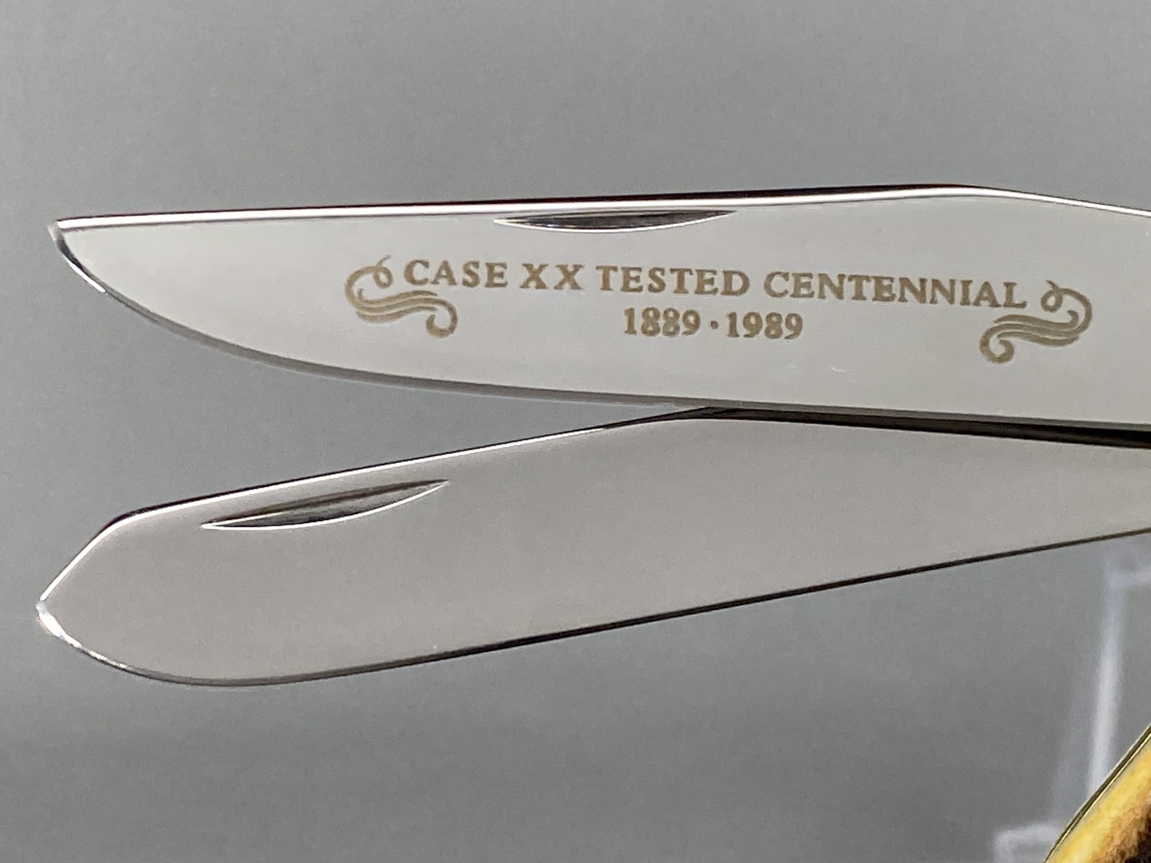 1989 CASE XX USA 5254 SSP Stag TESTED CENTENNIAL Trapper MINT