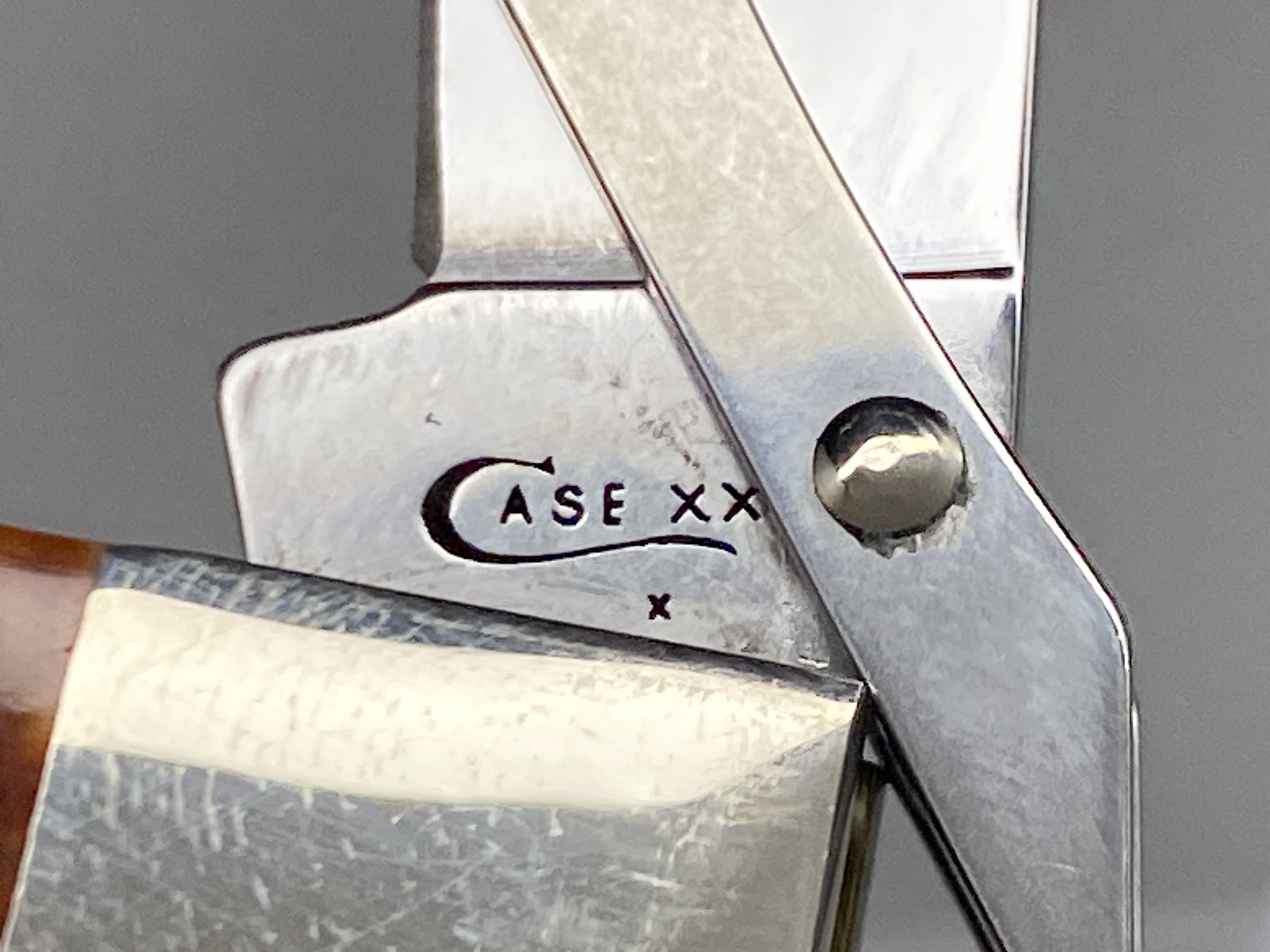 2019 CASE XX USA 6111 1/2L SS Jigged Bone Cheetah MINT