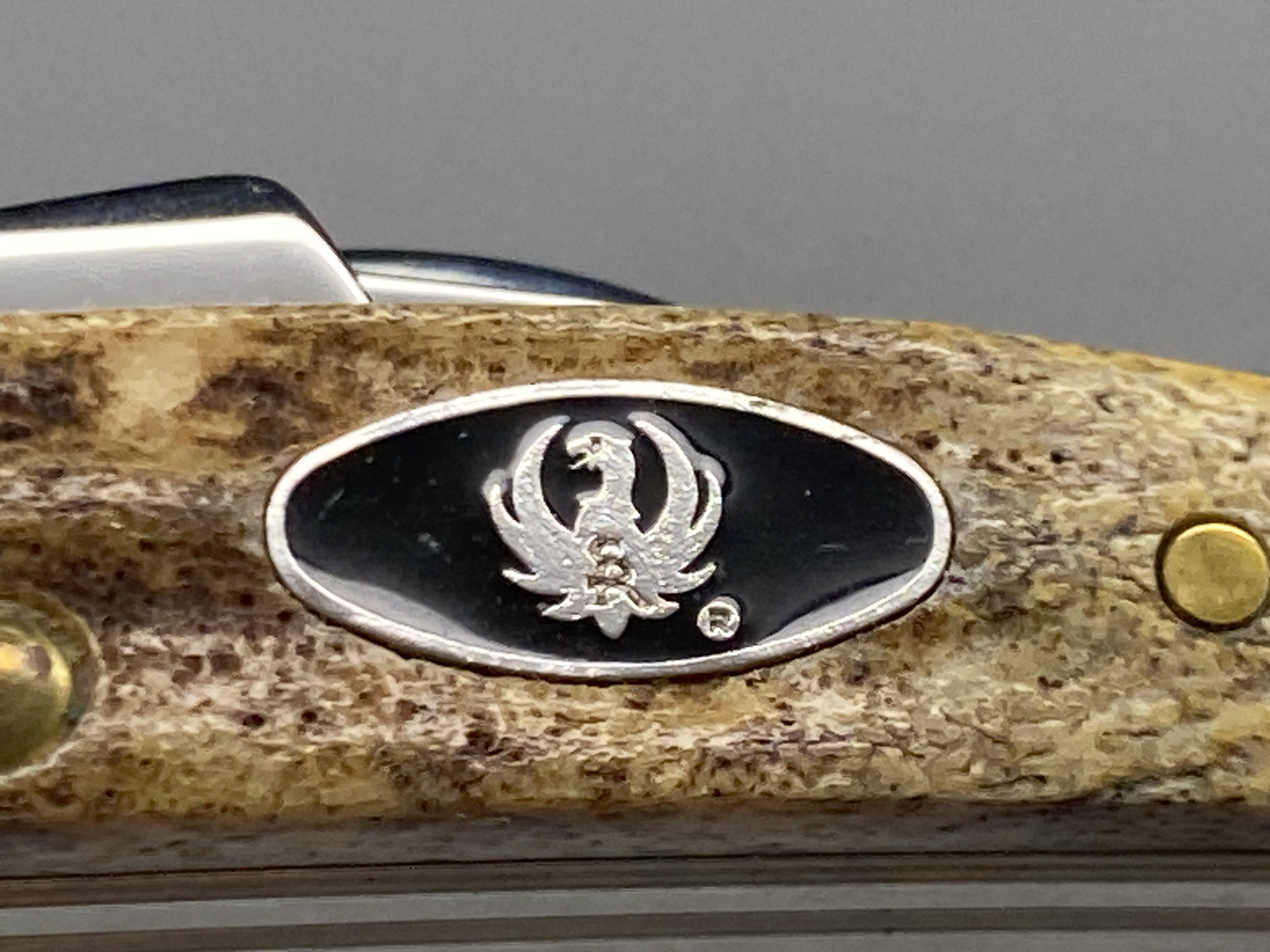 2005 CASE XX USA 5468 SS Stag TESTED Ruger Shield Small Congress MINT