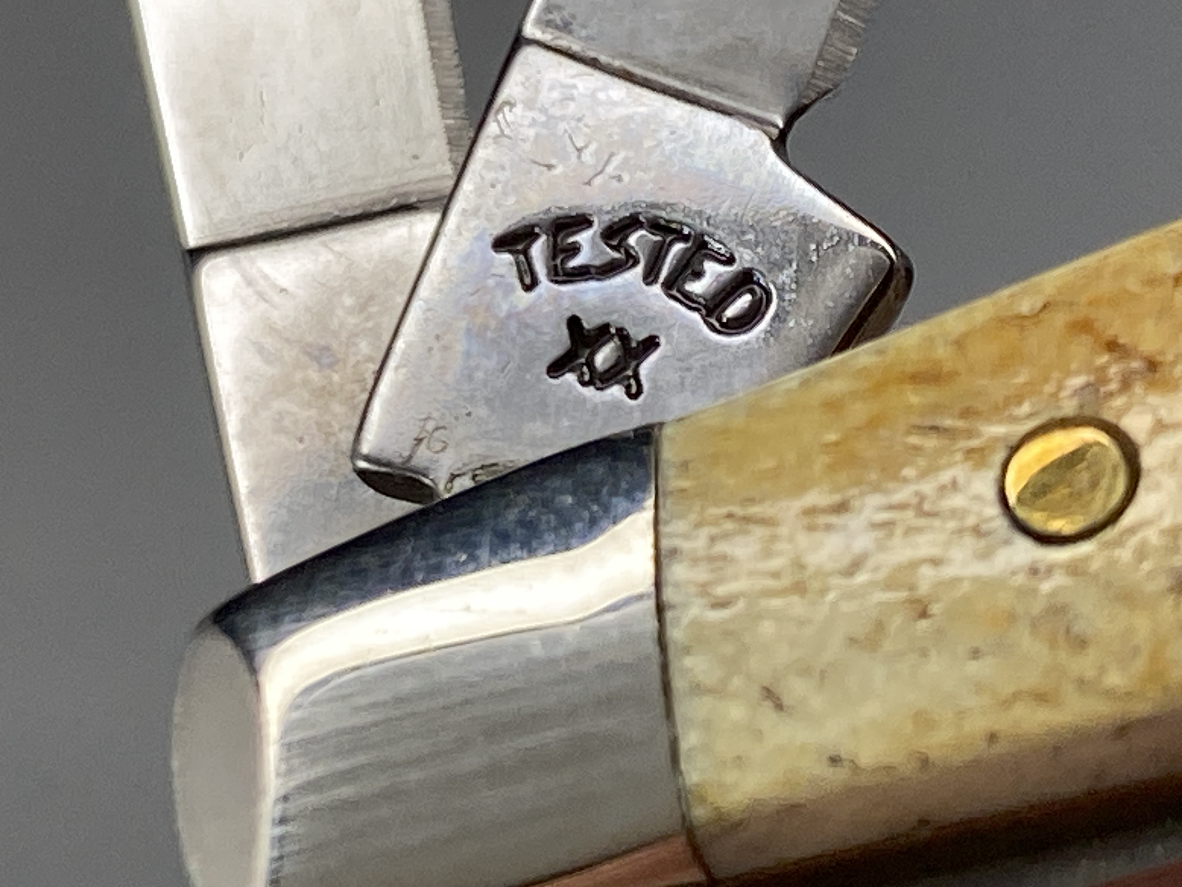 2005 CASE XX USA 5468 SS Stag TESTED Ruger Shield Small Congress MINT