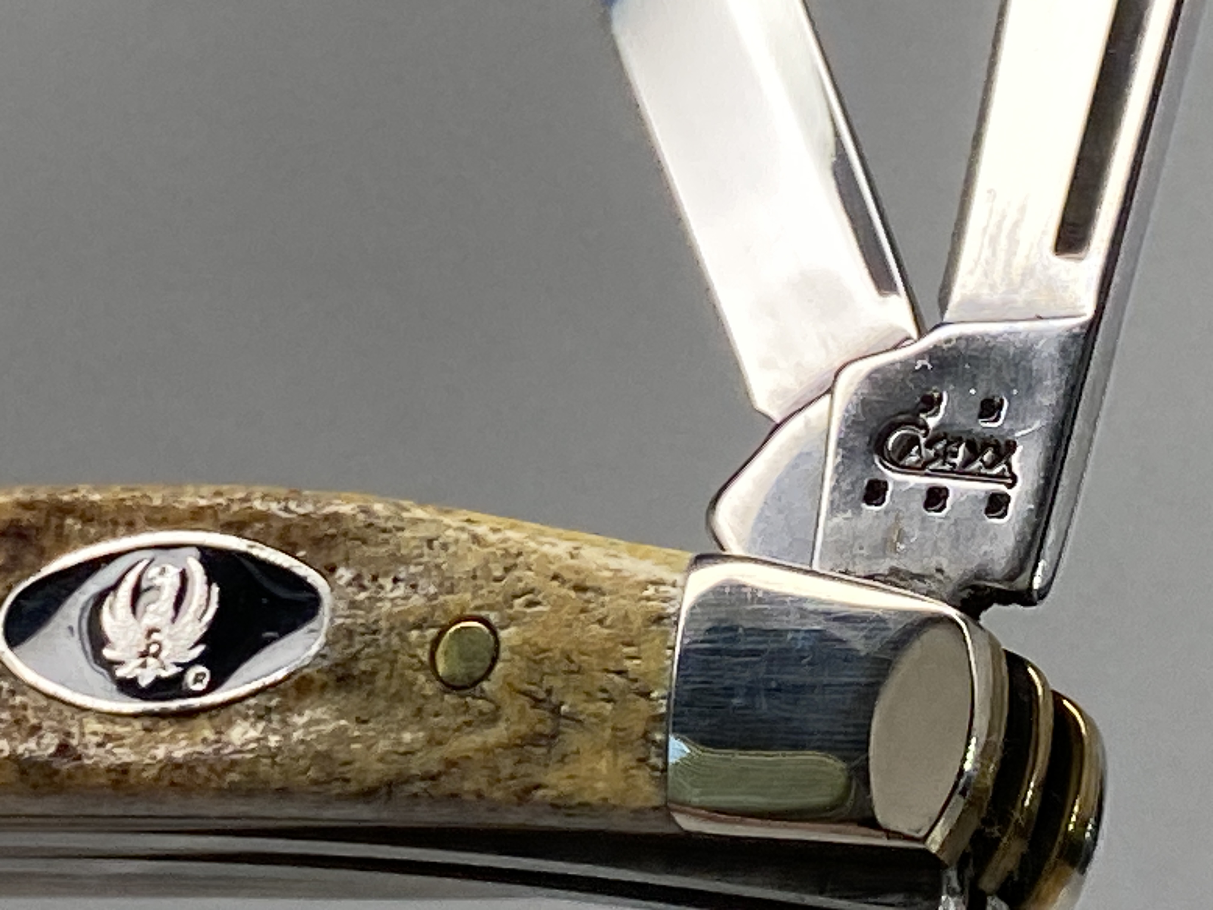 2005 CASE XX USA 5468 SS Stag TESTED Ruger Shield Small Congress MINT