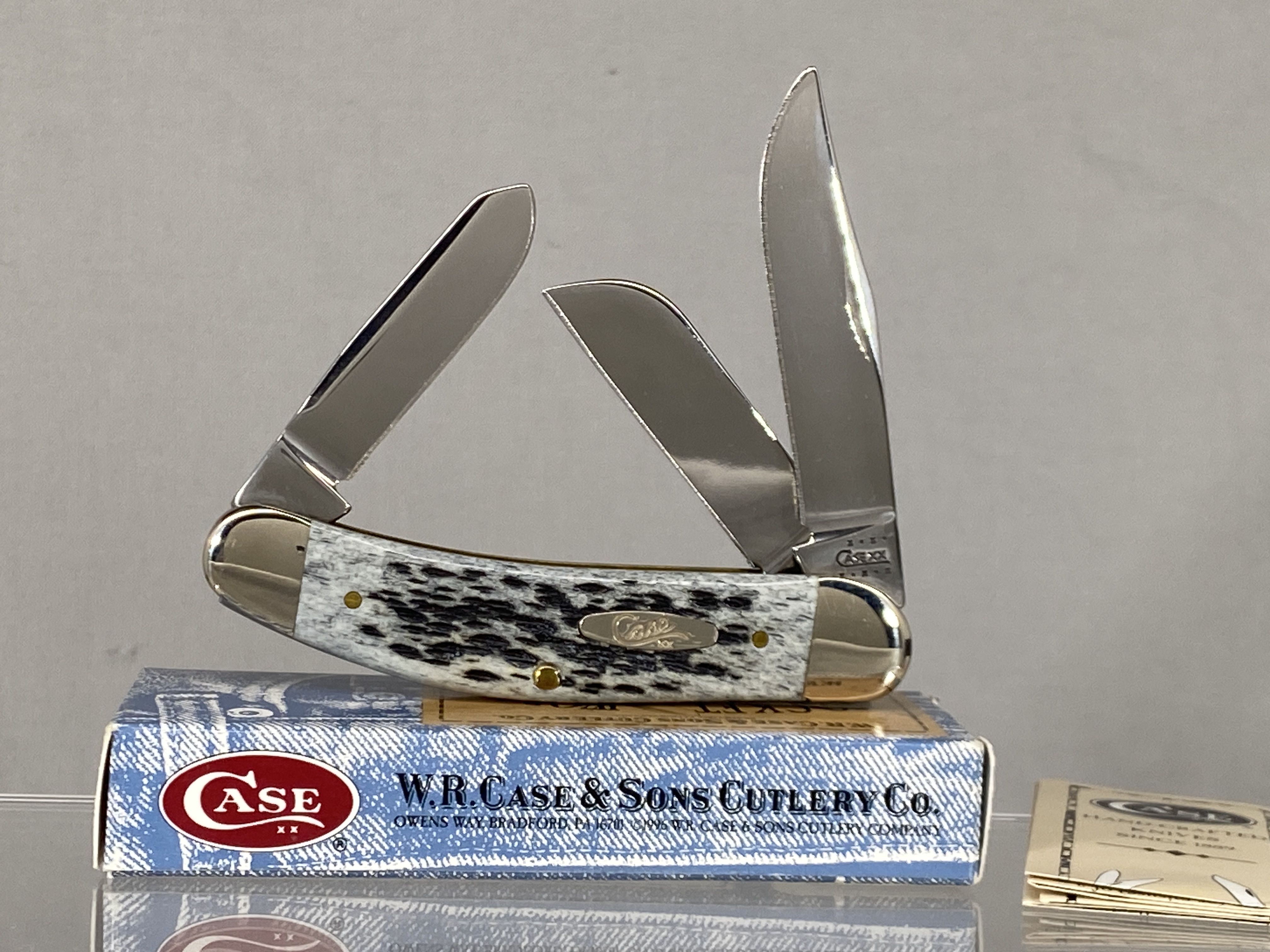 2001 CASE XX USA TB6339 SS Blue Bone Tony Bose POCKET WORN Sowbelly ...