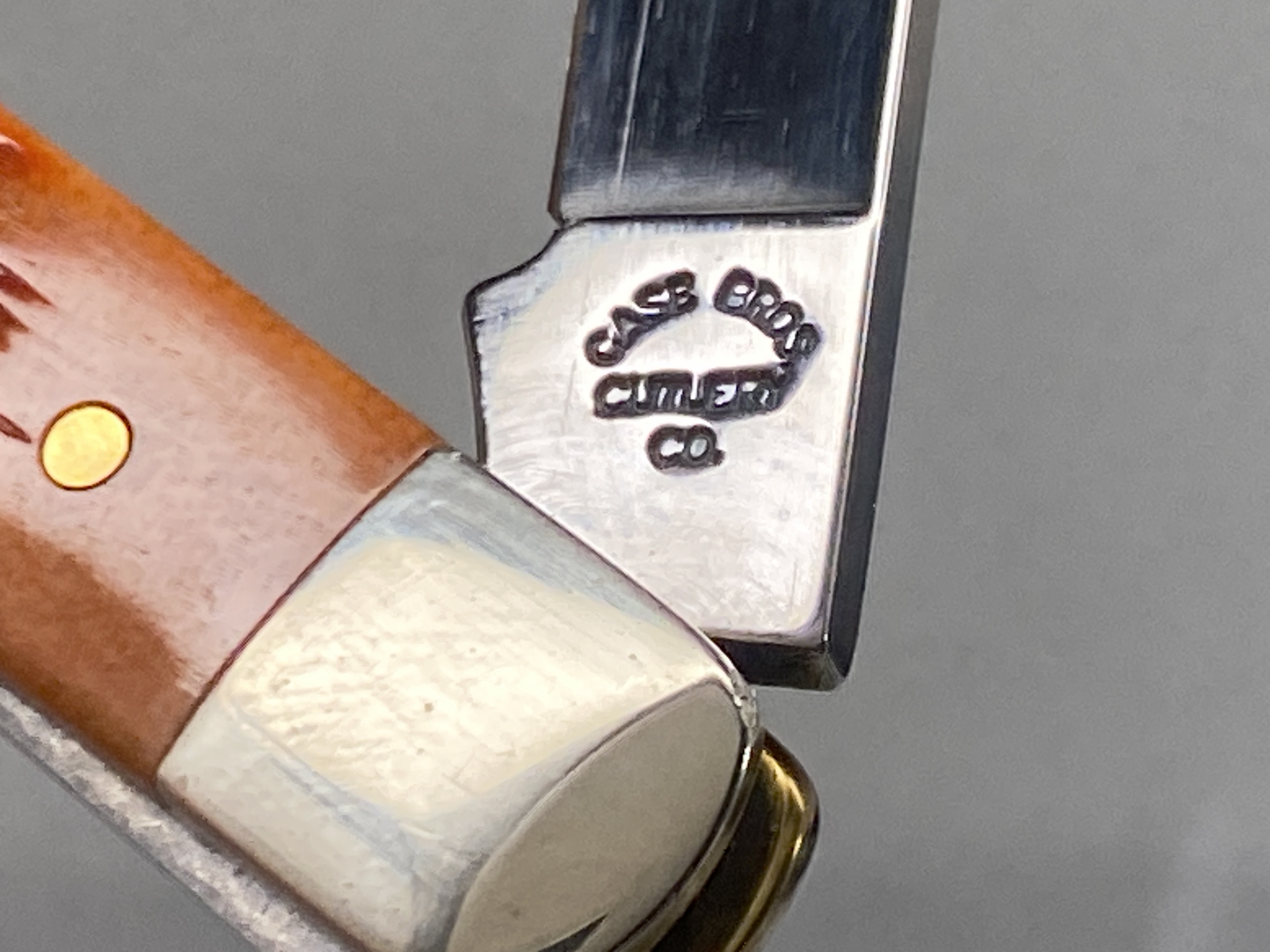 2003-07 CASE BROTHERS CUTLERY CO USA 6185 SS Bone Doctors Knife MINT