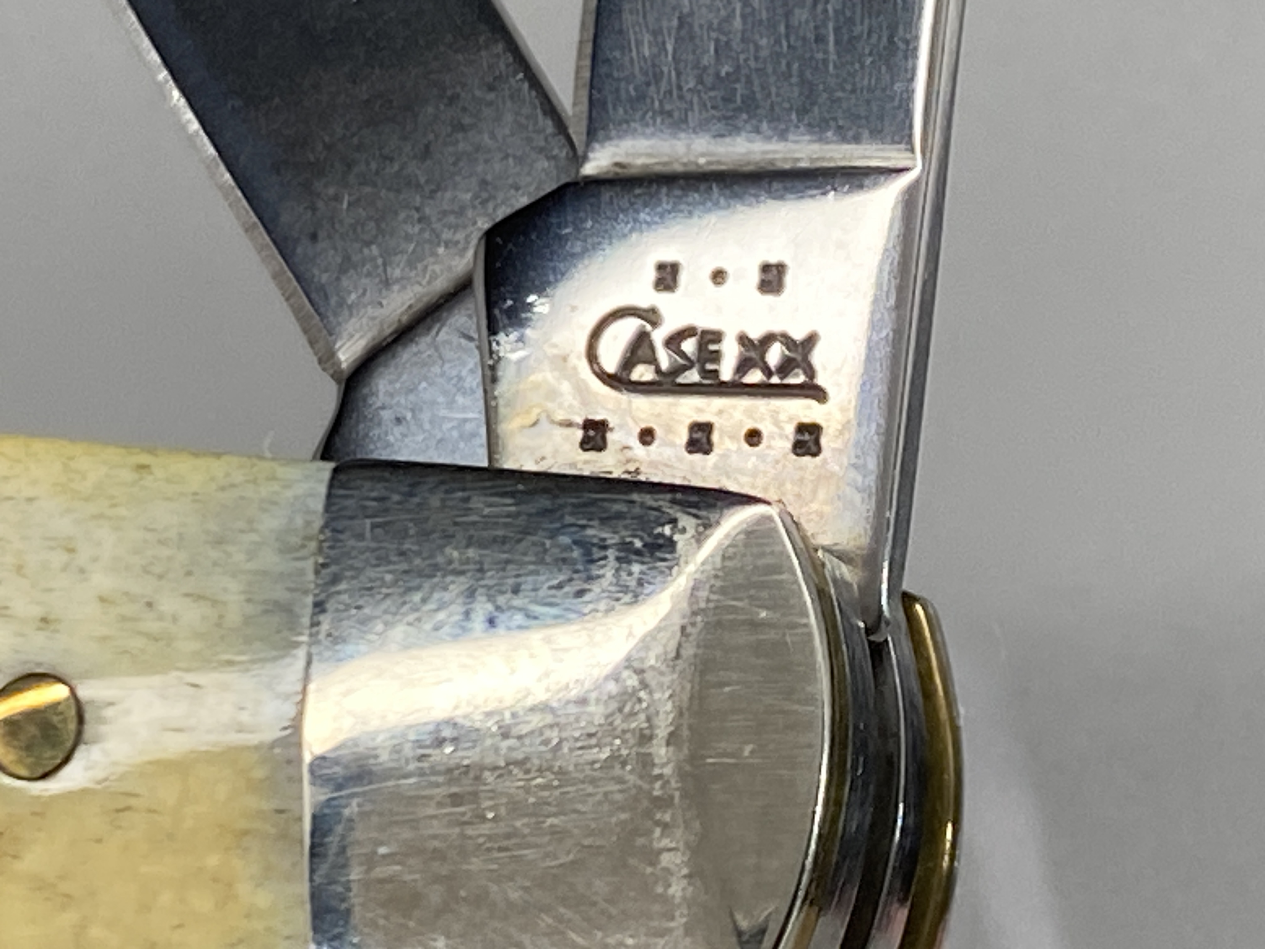 2002 CASE XX USA 6.54052 SS Genuine Bone Stag Medium Congress MINT