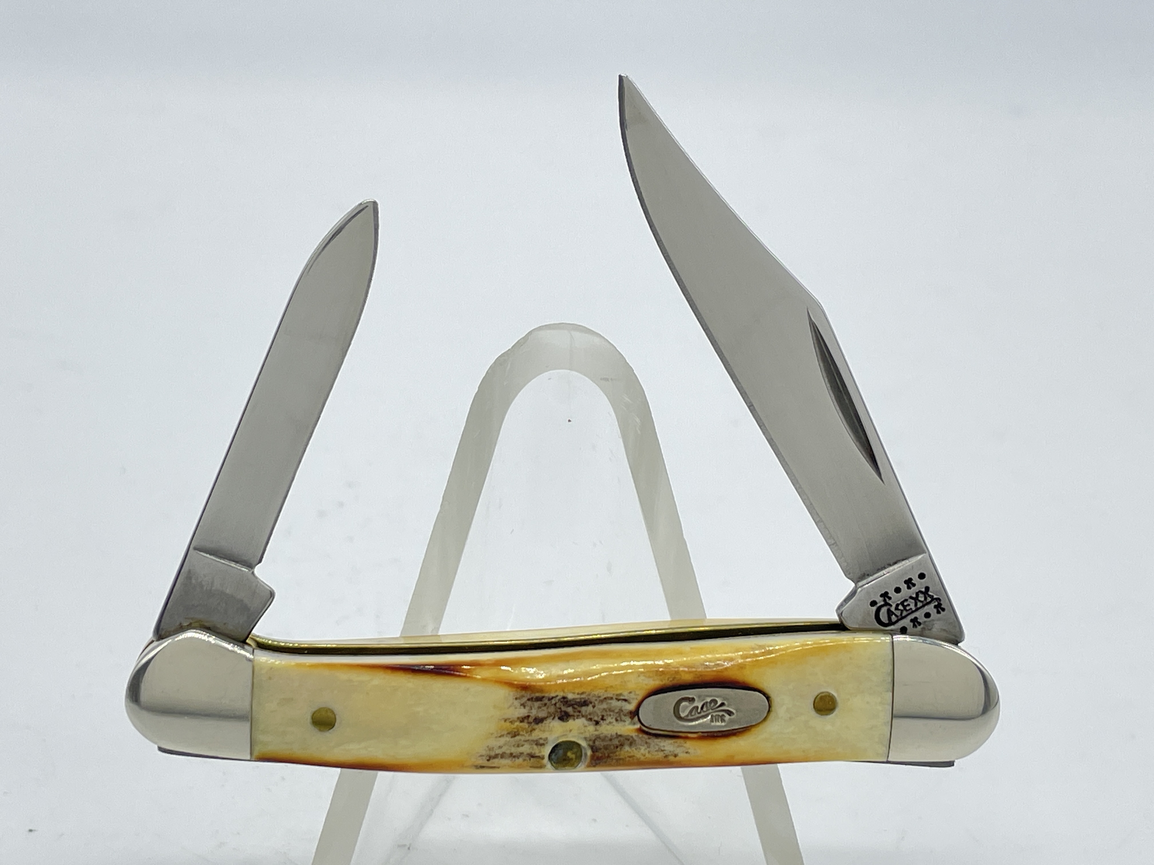 2000 CASE XX 52109X SS Genuine Stag Mini Copperhead MINT