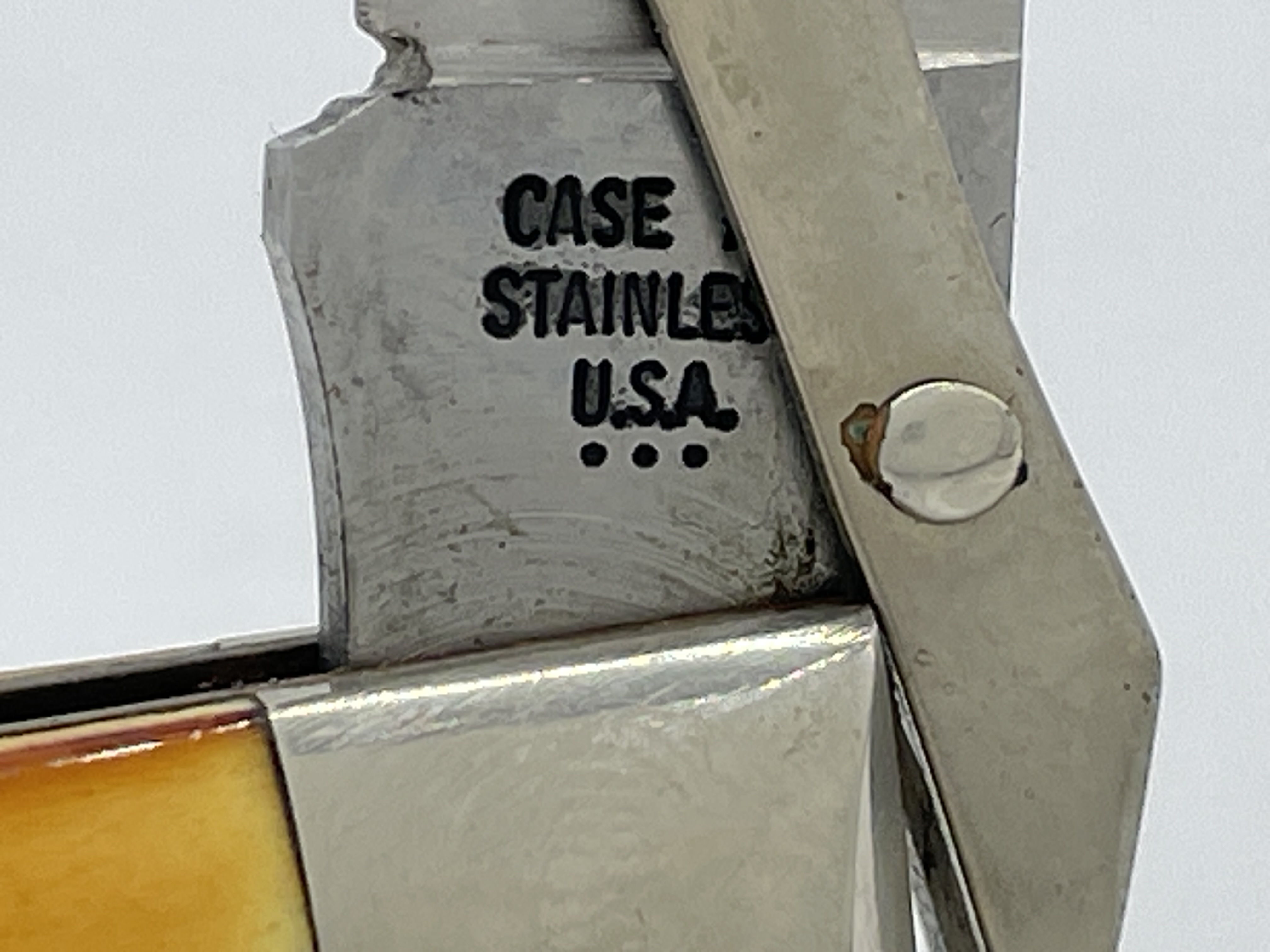 1977 CASE XX 5111-1/2 L SSP Blue Scroll Fat Stag Cheetah MINT