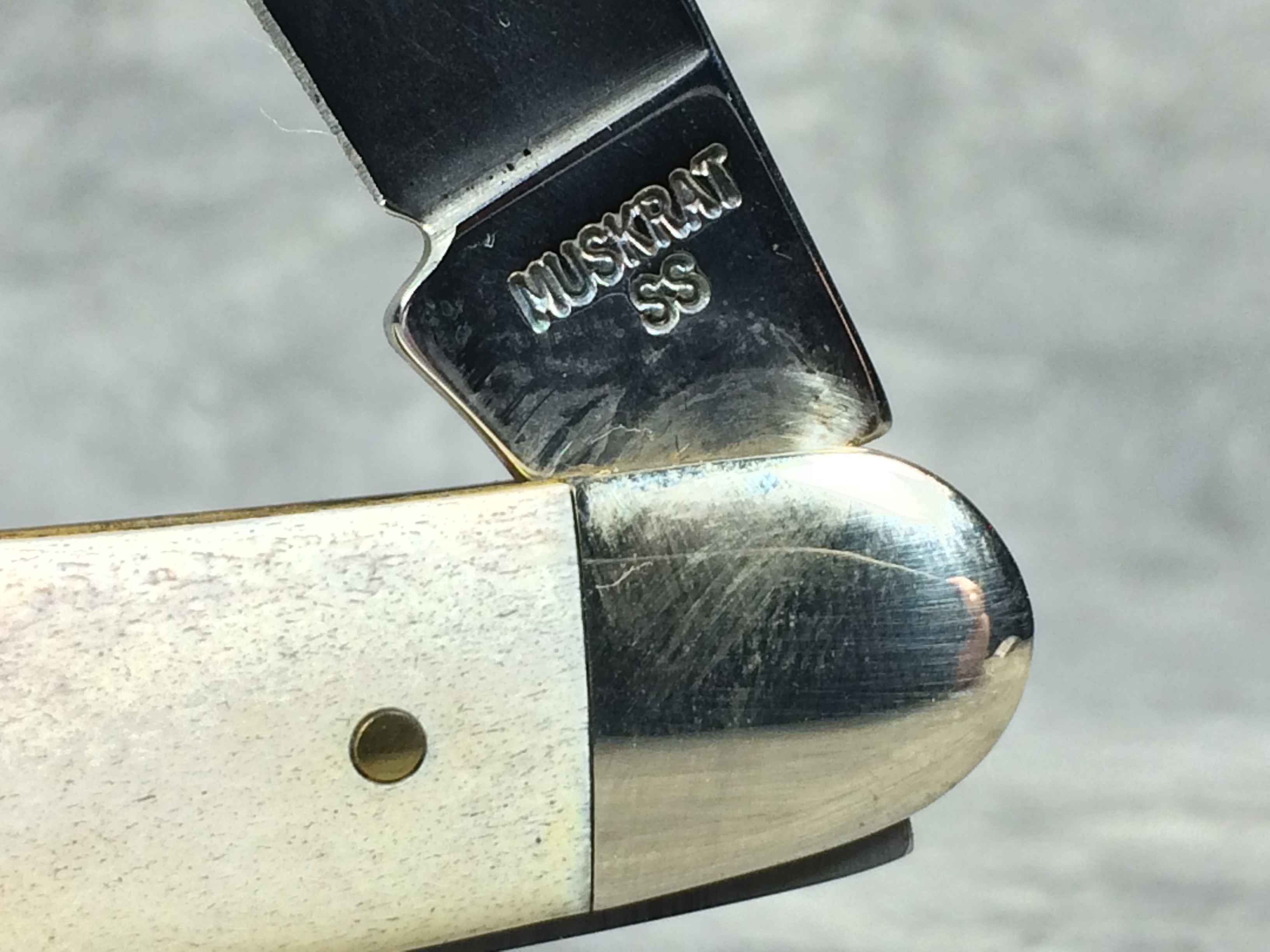 How much is 1998 CASE XX USA MUSKRAT SS Club Lifetime Stag Mini-Muskrat ...