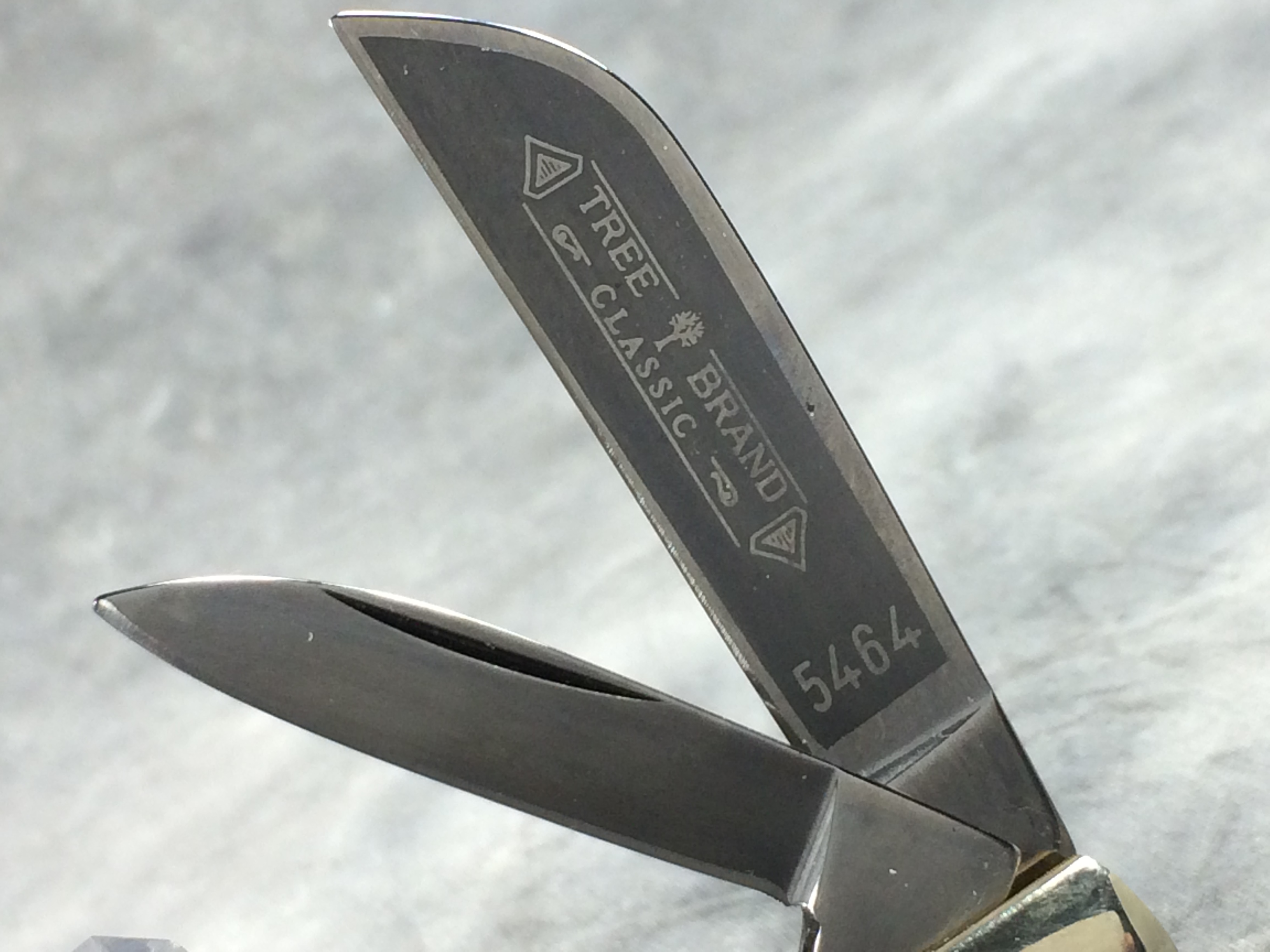 How much is BOKER TREE BRAND CLASSIC 5464 Stag Congress worth? | iGuide ...