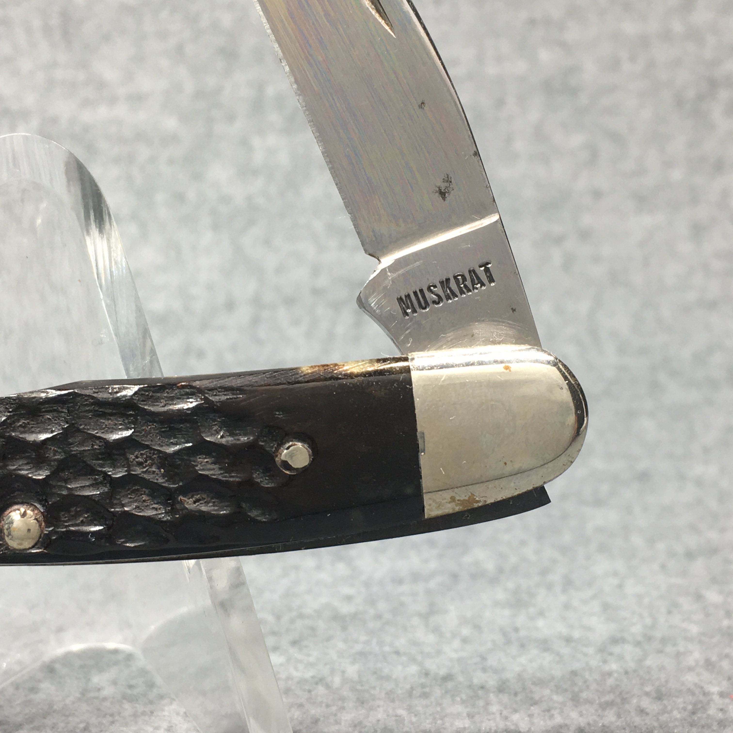 How much is 1977 CASE XX USA Brown Jigged Bone Muskrat worth? | iGuide ...